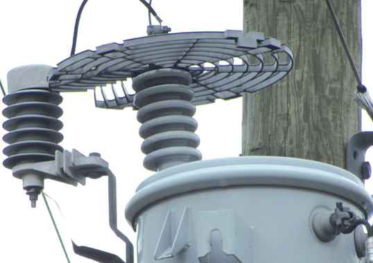 Lightning Protection Studies